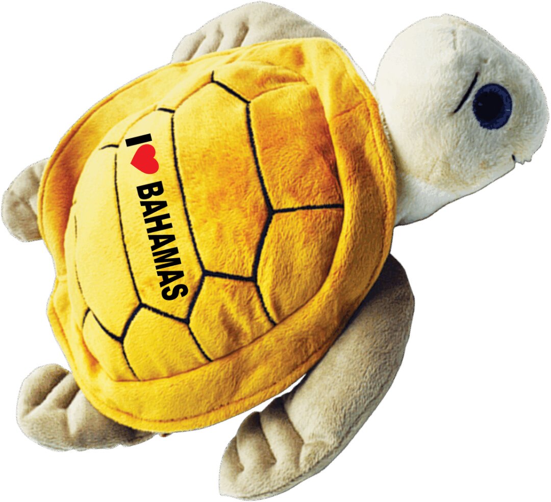 Miami Souvenirs: BAHAMAS BROWN TURTLE BACKPACK